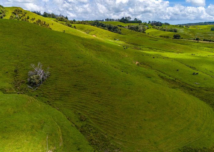 For sale | 201 Clough Road, Kaitaia, Far North, Northland - homes.co.nz