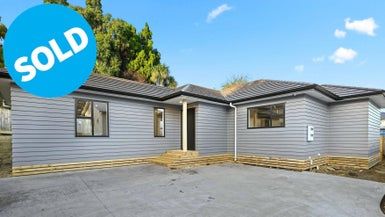 Free property data for 20A Hinau Street, Maeroa, Hamilton - homes.co.nz