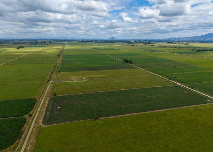 For sale | 251 Collins Road, Temple View, Hamilton, Waikato - homes.co.nz