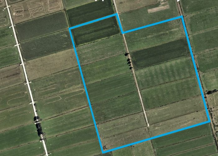 For sale | 251 Collins Road, Temple View, Hamilton, Waikato - homes.co.nz