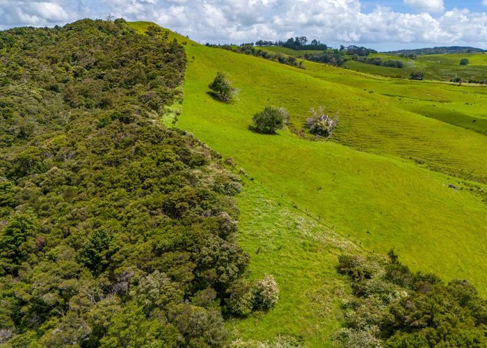 For sale | 201 Clough Road, Kaitaia, Far North, Northland - homes.co.nz