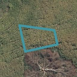 Free property data for 15 Akakura Terrace, Peacocke, Hamilton - homes.co.nz