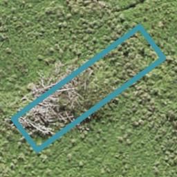 Free property data for 77 Tarapuka Road, Westgate, Auckland - homes.co.nz