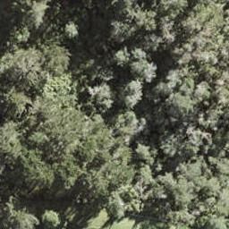 Free property data for 0 Haigh Access Road, Redvale, Auckland - homes.co.nz