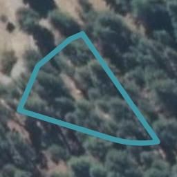 Free property data for 12 Station Bay Rise, Lake Tekapo - homes.co.nz