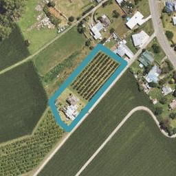 Free property data for 55 Whakato Road, MANUTUKE, Manutuke - homes.co.nz