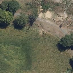 Free property data for 24 Halo Green, Peacocke, Hamilton - homes.co.nz