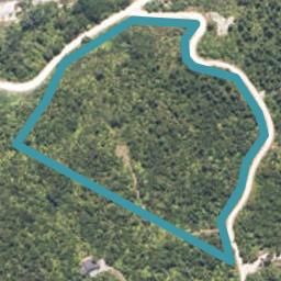 Free property data for 290 Mokihinui Road, Seddonville - homes.co.nz