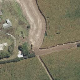 Free property data for 31 Lumino Terrace, Peacocke, Hamilton - homes.co.nz