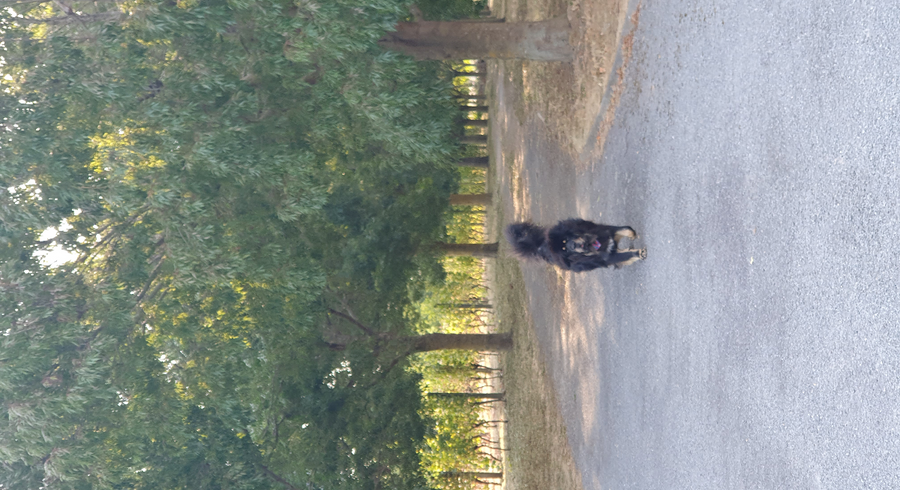 Free property data for 9/239 Lake Ferry Road, Martinborough ...