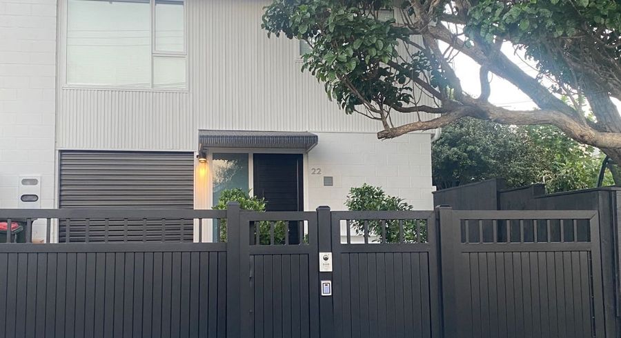 Free property data for 22 Dempsey Street, Remuera, Auckland - homes.co.nz
