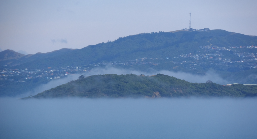 Free property data for 16 Mahina Road, Mahina Bay, Lower Hutt - homes.co.nz