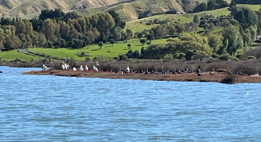 Free property data for 64A Mana View Road, Paremata, Porirua - homes.co.nz