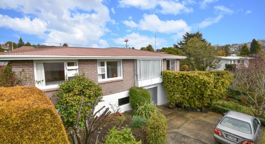 Free property data for 221 Balmacewen Road, Wakari, Dunedin - homes.co.nz