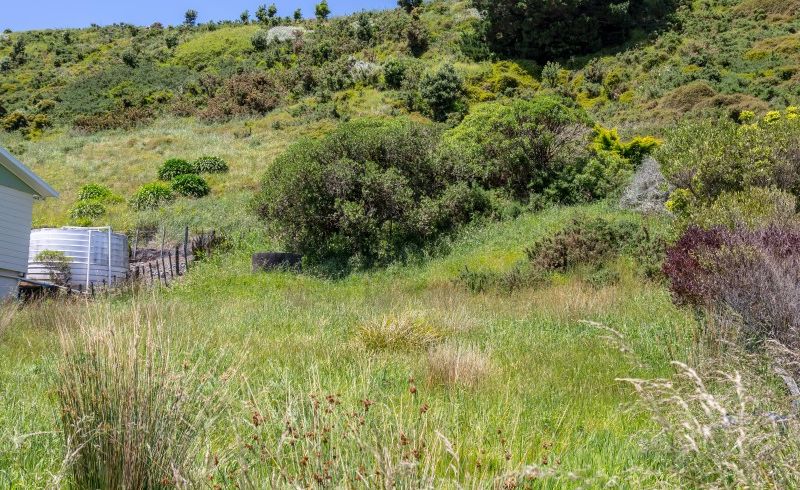Free property data for 102 Lake Ferry Road, Lake Ferry - homes.co.nz