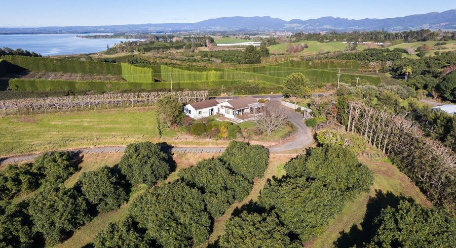 Free property data for 3/303 Point Chevalier Road, Point Chevalier ...