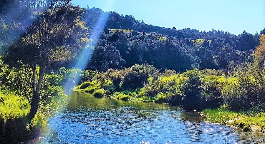 For sale | 2328 State Highway 12, Waima, Far North, Northland - homes.co.nz