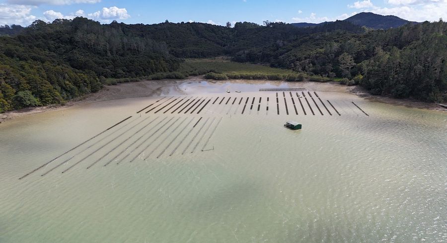 For sale | Waikare Inlet, Opua, Far North, Northland - homes.co.nz