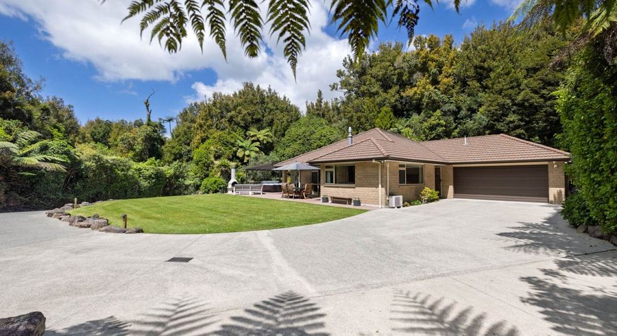 Free property data for 704C Whakamarama Road, Whakamarama, Whakamārama ...