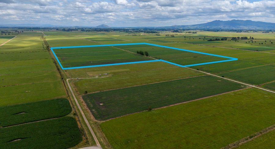 For sale | 251 Collins Road, Temple View, Hamilton, Waikato - homes.co.nz