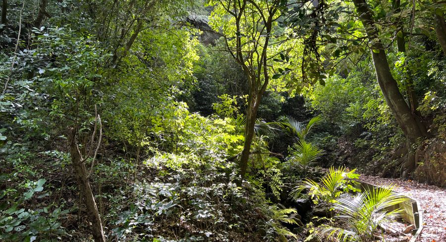 Free property data for 99 Ngaio Gorge Road, Ngaio, Wellington - homes.co.nz