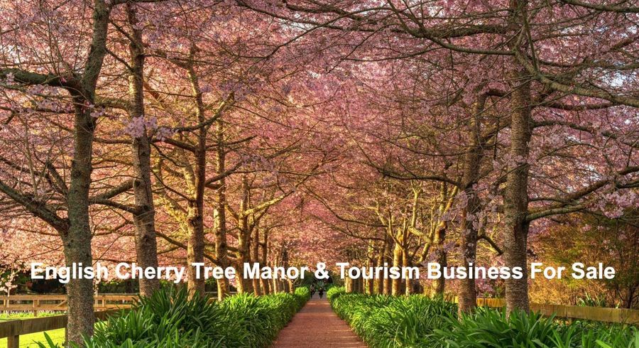 For sale | 125 Matangi Road, Tamahere, Waikato, Waikato - homes.co.nz