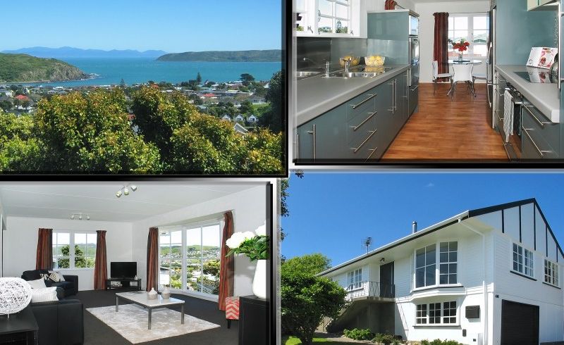 Free property data for 17 Mapplebeck Street, Titahi Bay, Porirua ...