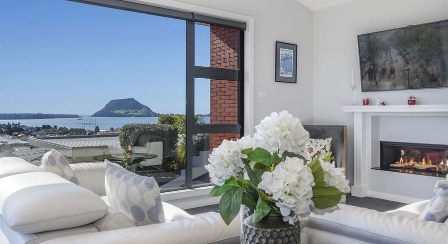 Free property data for 14 Hazel Terrace, Otumoetai, Tauranga - homes.co.nz