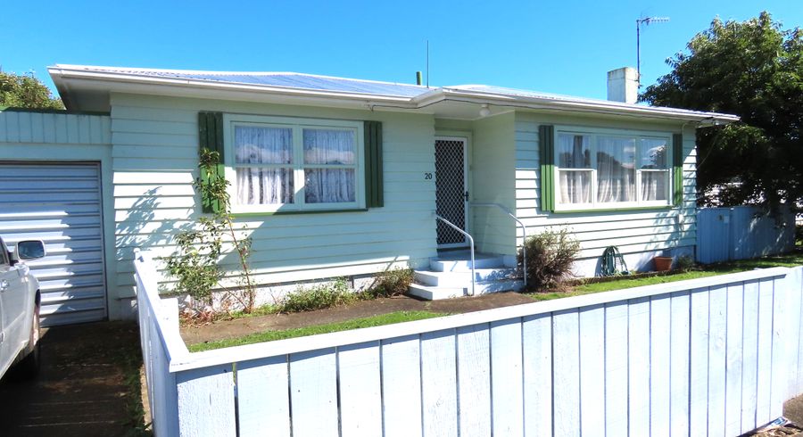 Free property data for 20 Rata Street, Levin, Levin - homes.co.nz