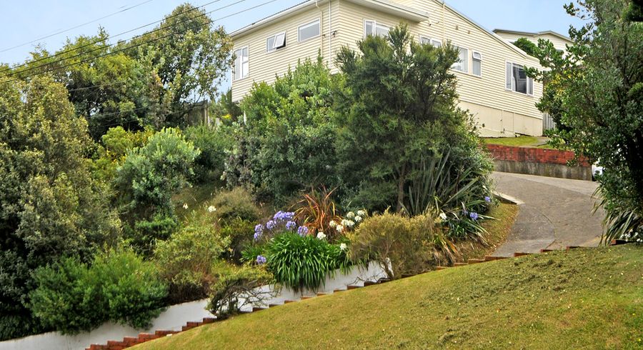 Free property data for 19 Mana View Road, Paremata, Porirua - homes.co.nz