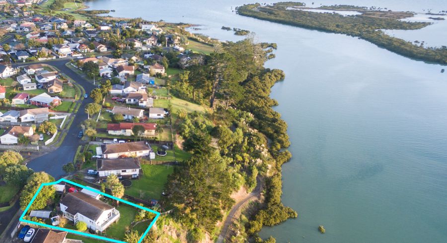 Free property data for 20 Rukumoana Place, Clendon Park, Auckland ...