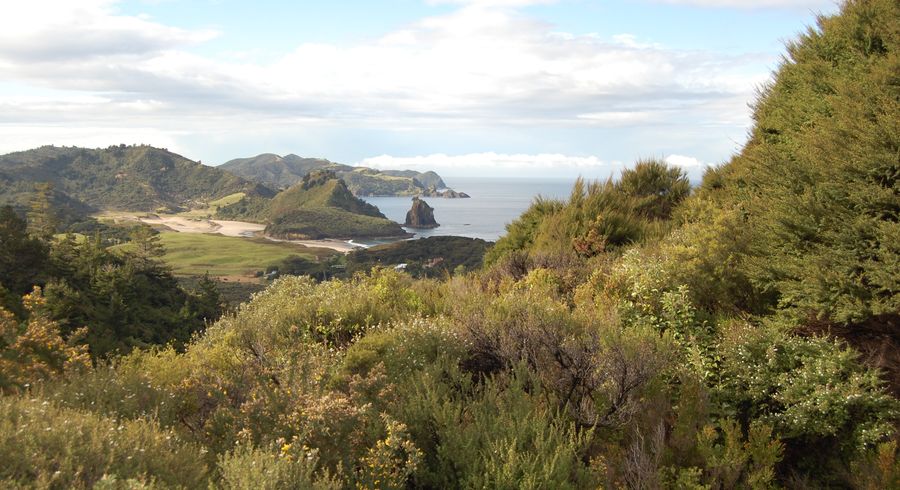 Free property data for 0 Aotea Road, Great Barrier Island (Aotea Island ...